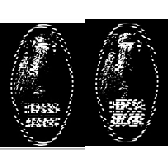 Kofferrek zwart RVS Hepco&Becker voor Cutout Xplorer zijkoffers Harley ...